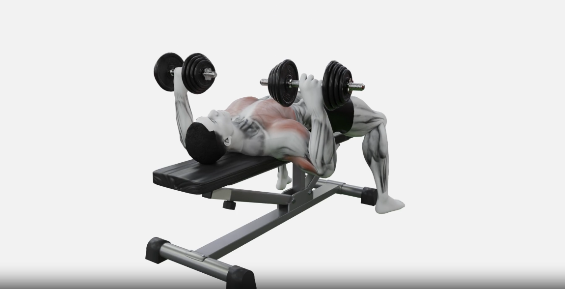 Mastering the Dumbbell Chest Press: A Comprehensive Guide to Variations ...
