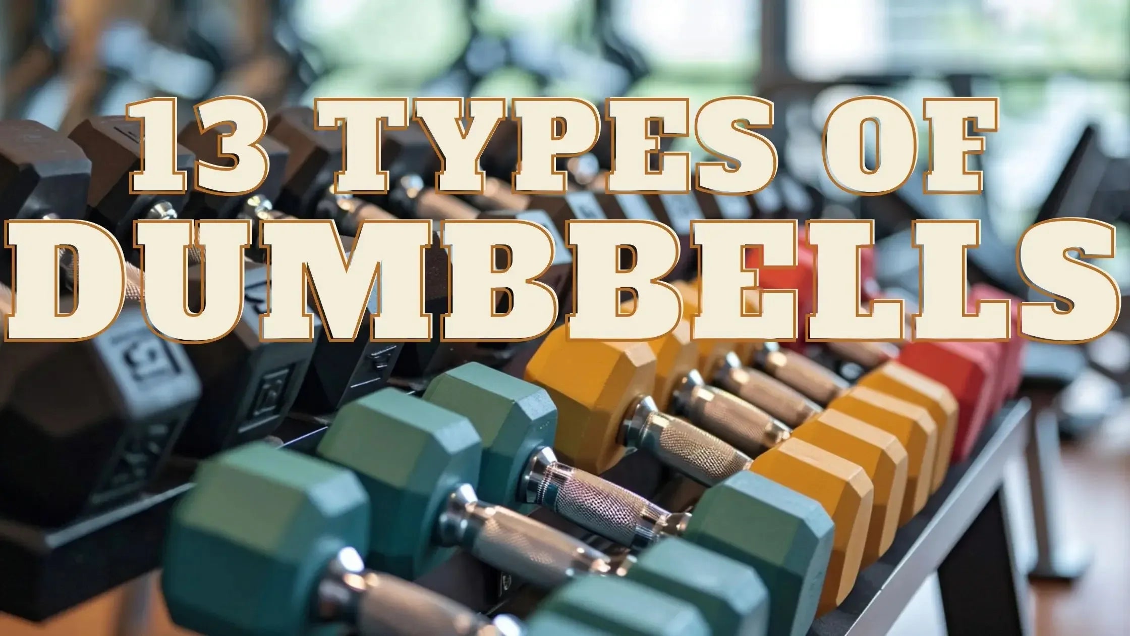 13 Different Types of Dumbbells: Benefits and Uses – WorkoutHealthy LLC
